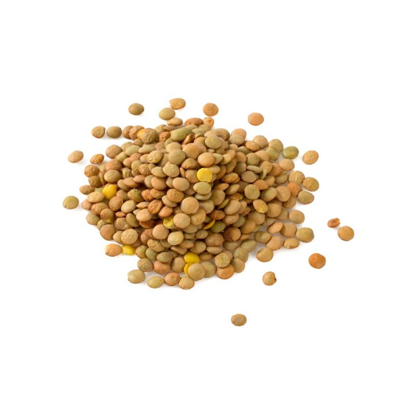 Lentils - Bens - Wholesale - Bulk - Nutsite
